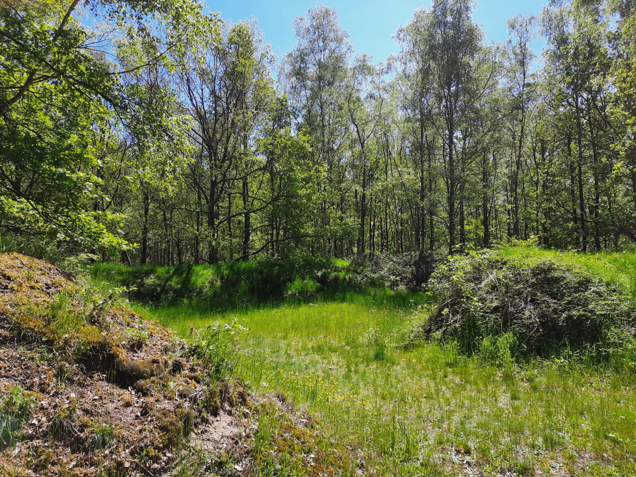 Open munitie-opslag - Utrechts Landschap