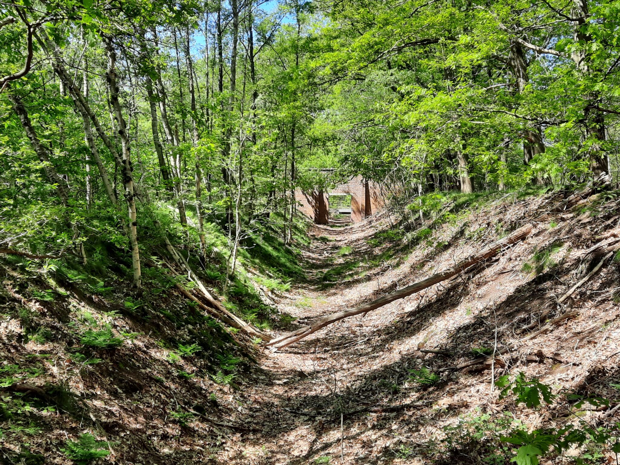 Schietbaan - Utrechts Landschap