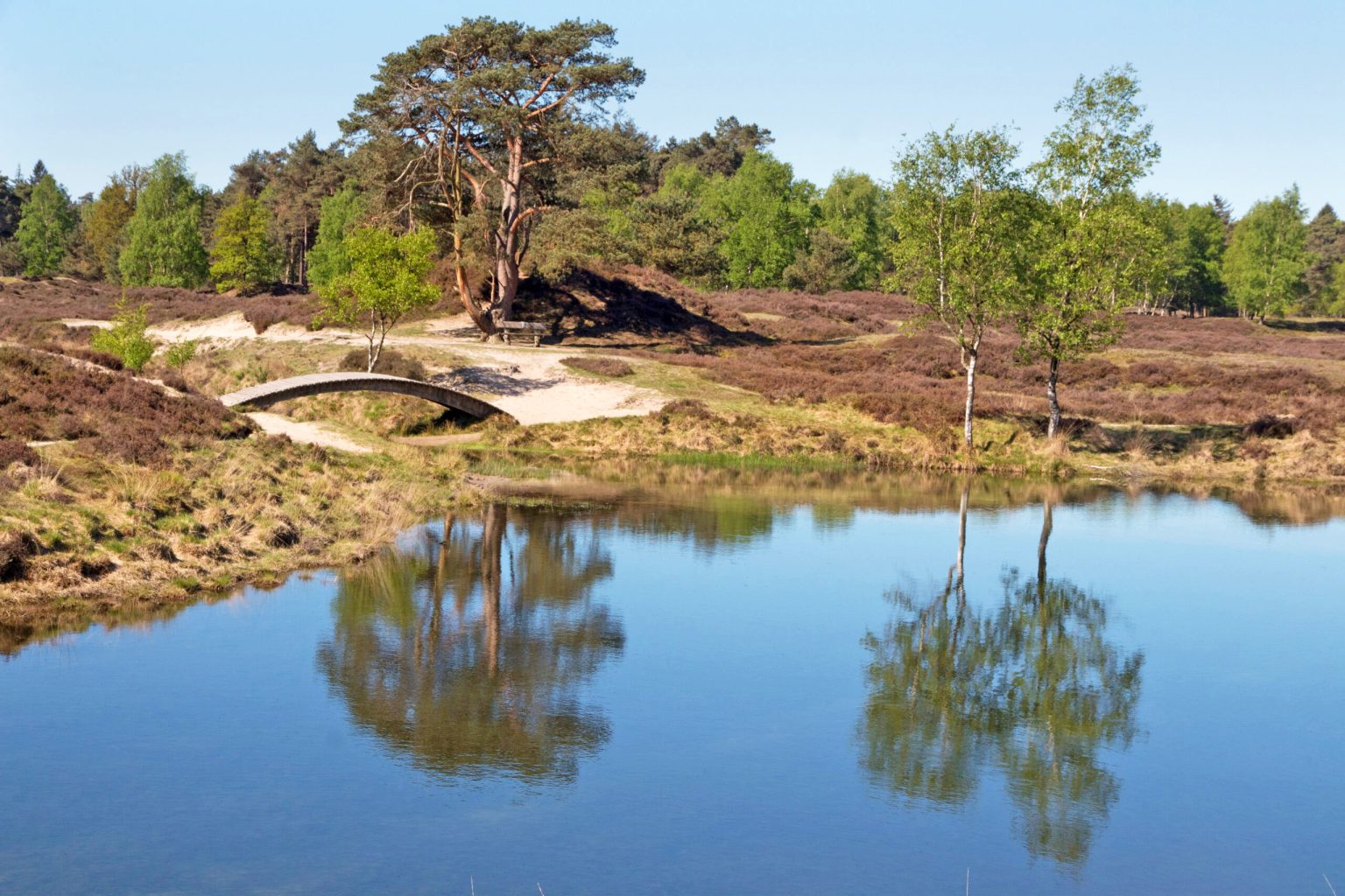 Ontdek en bescherm de Utrechtse natuur - Utrechts Landschap