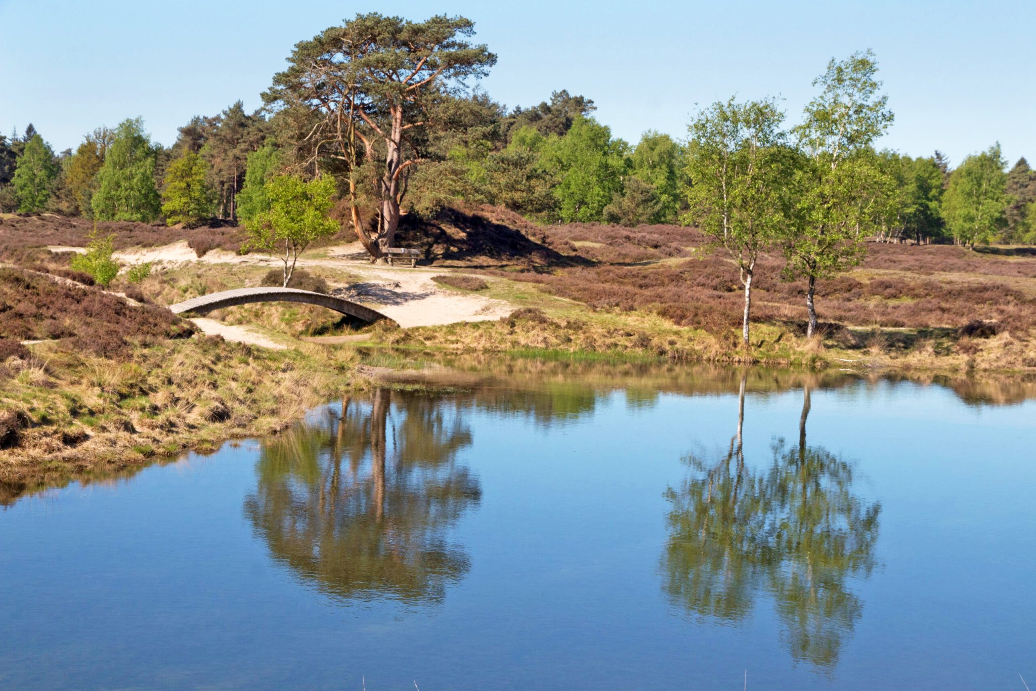 Ontdek en bescherm de Utrechtse natuur - Utrechts Landschap